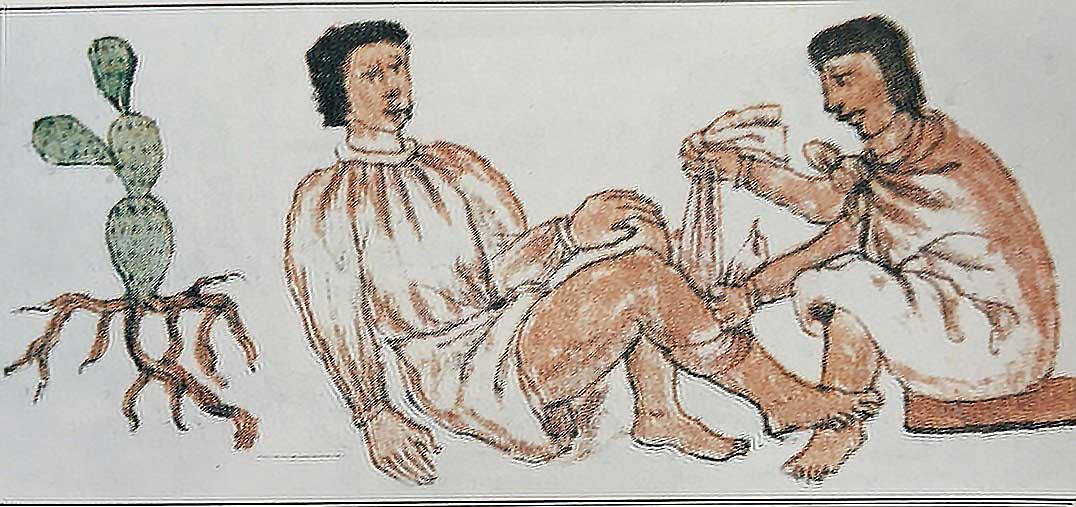 Gratitude for the Doctors | Del Pueblo Funeral Home